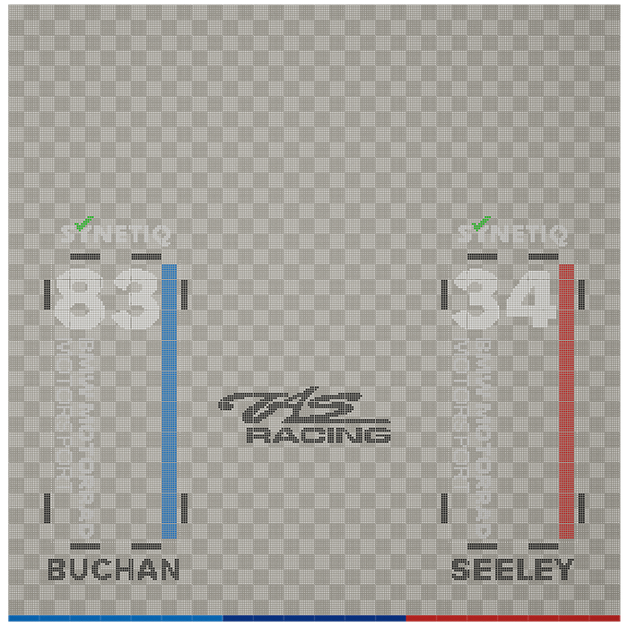 Synetiq BMW TAS Racing - Danny Buchan Alastair Seeley - Double Garage Synetiq BMW TAS Racing - Danny Buchan Alastair Seeley - Double Garage
